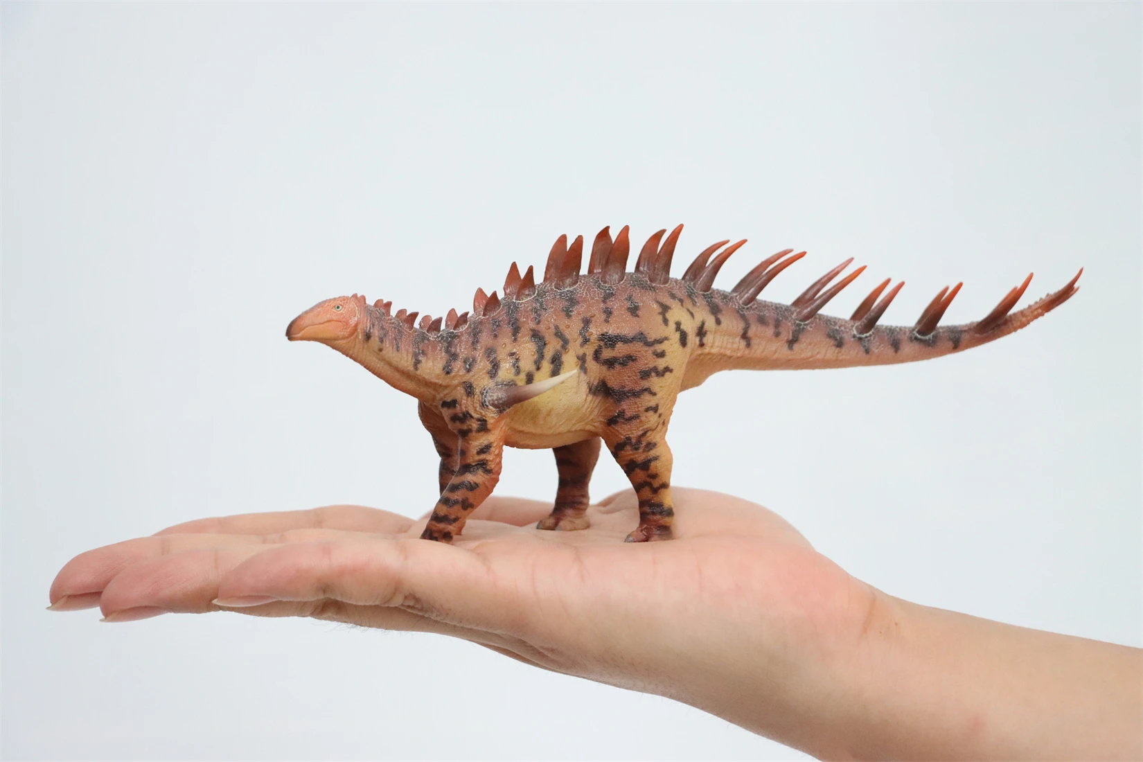 Dinosaur King Dacentrurus