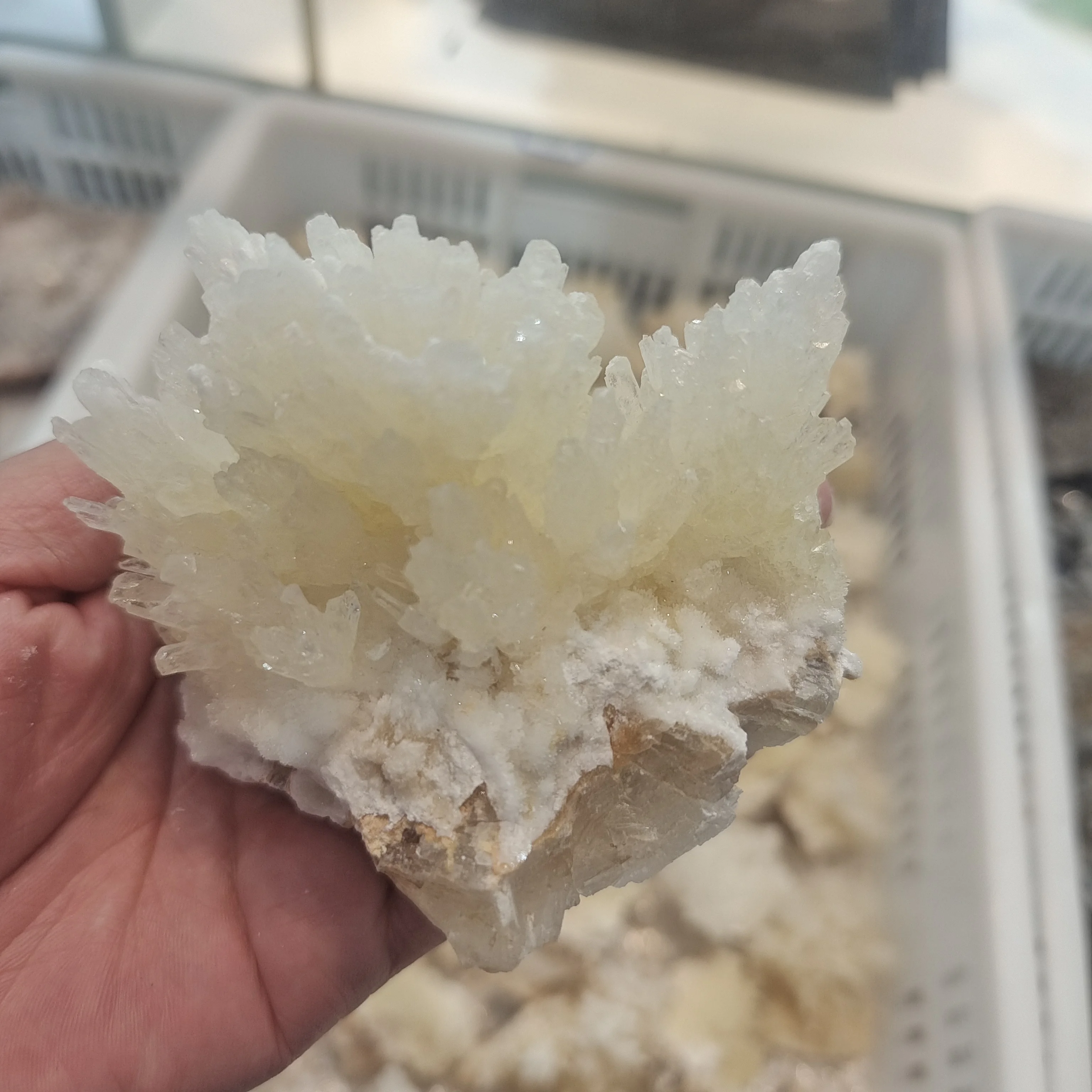 Natural Crystal Shapes