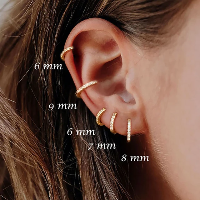 Double Cartilage Earrings Hoop