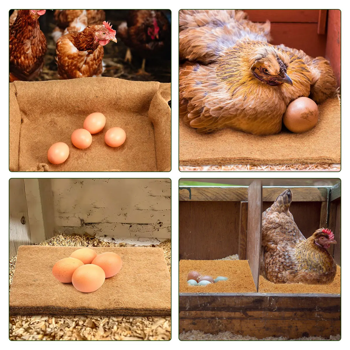 Duncan's Chicken Nest Pads 6 Pack Chicken Nesting Mats - 12x12 Inch ...