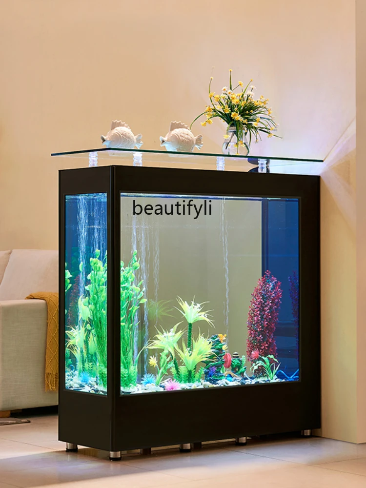 Large Home Aquarium