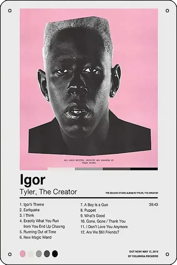Tyler-Igor-Album-Poster-Poster-Metal-Tin-Sign-Fun-Home-Art-Wall-Decor ...