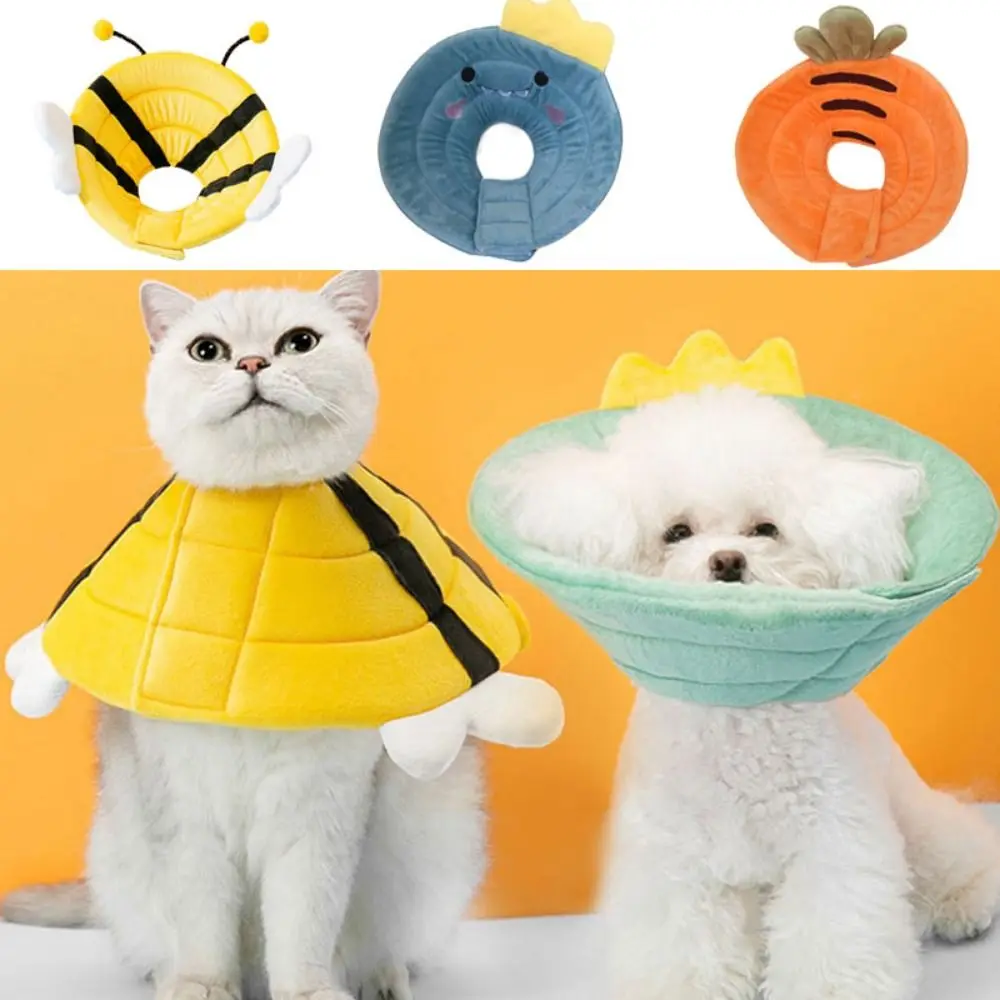 Collier de récupération pour chat, cône pour animaux de compagnie ...