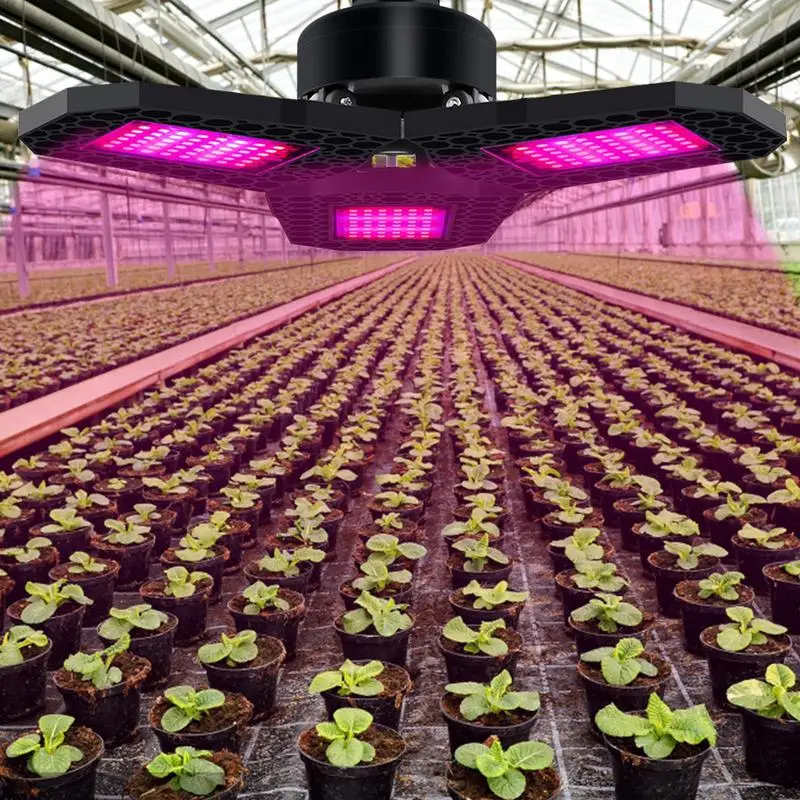 Greenhouse Led Lights