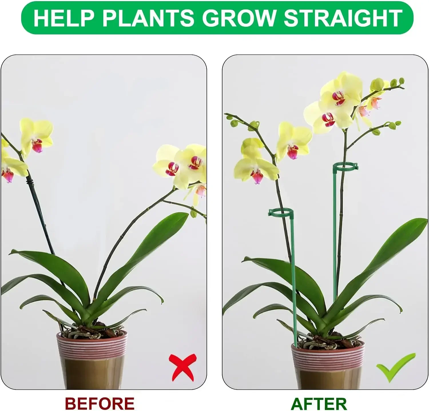 Plastic Plant Support Poles – Garden Exploration