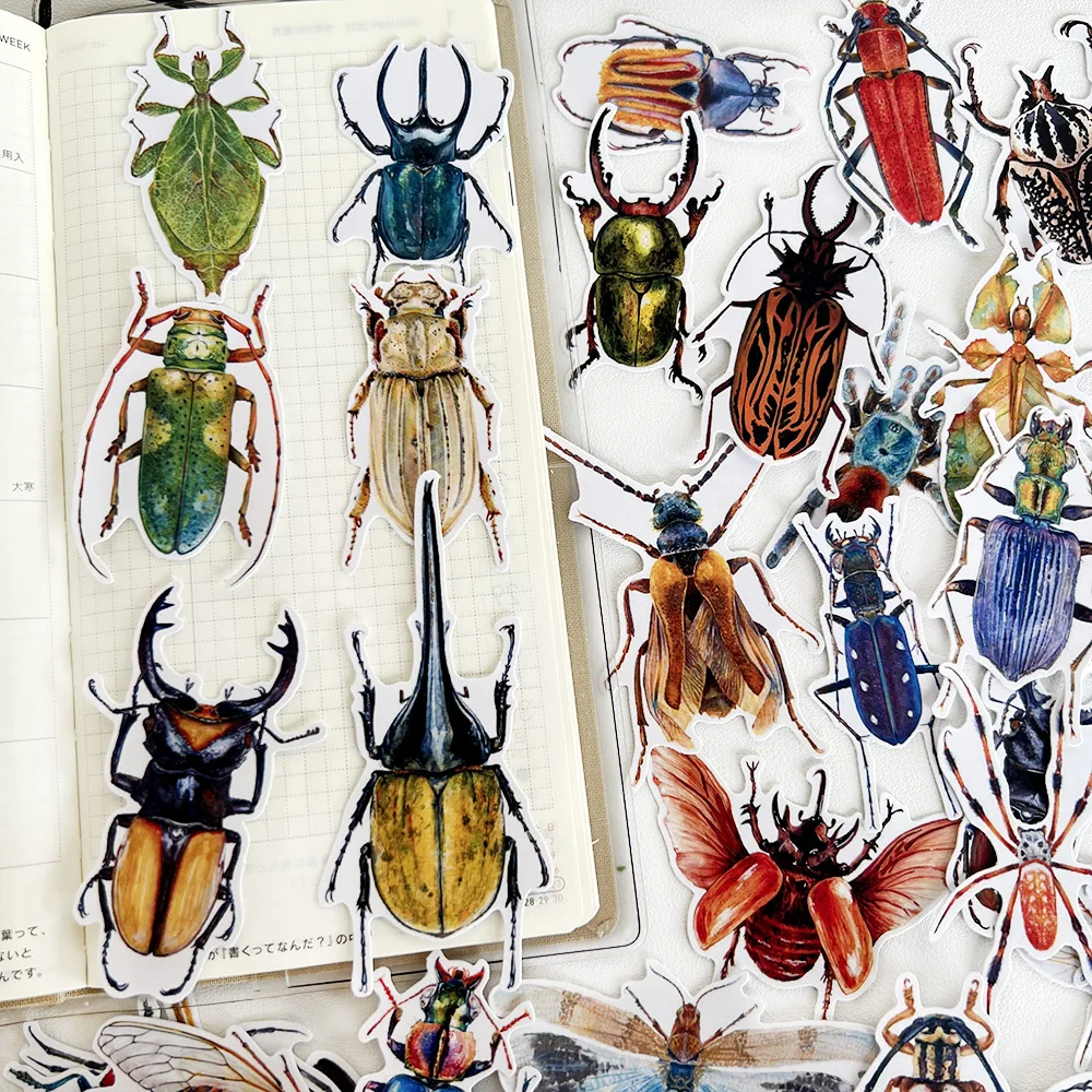 Insect-World-Beetle-Unicorn-Immortal-Euphorbia-Big-Dipper-Spider ...