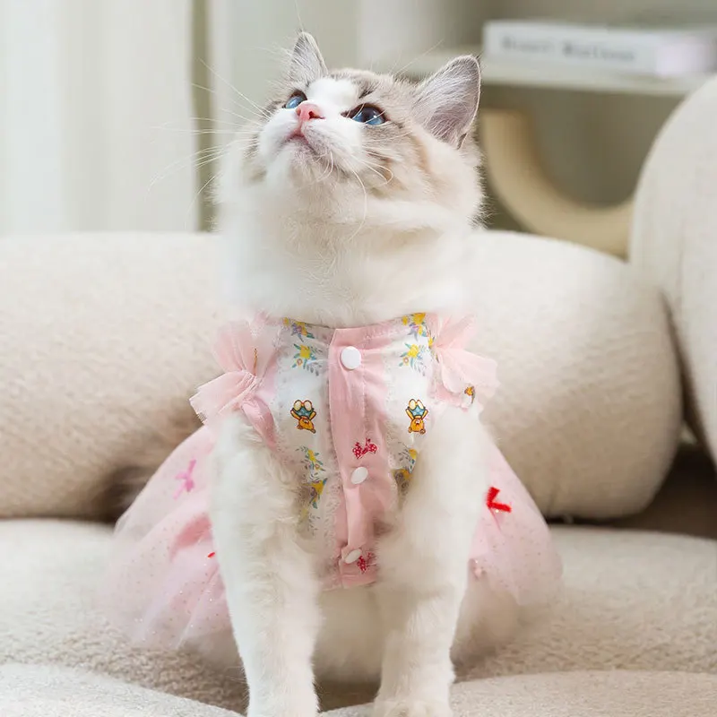 Cat In Pink Dress