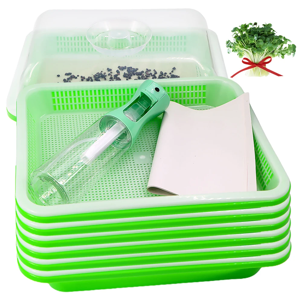 Germination-Box-Seedling-Trays-Kit-with-Transparent-Cover-Nursery ...