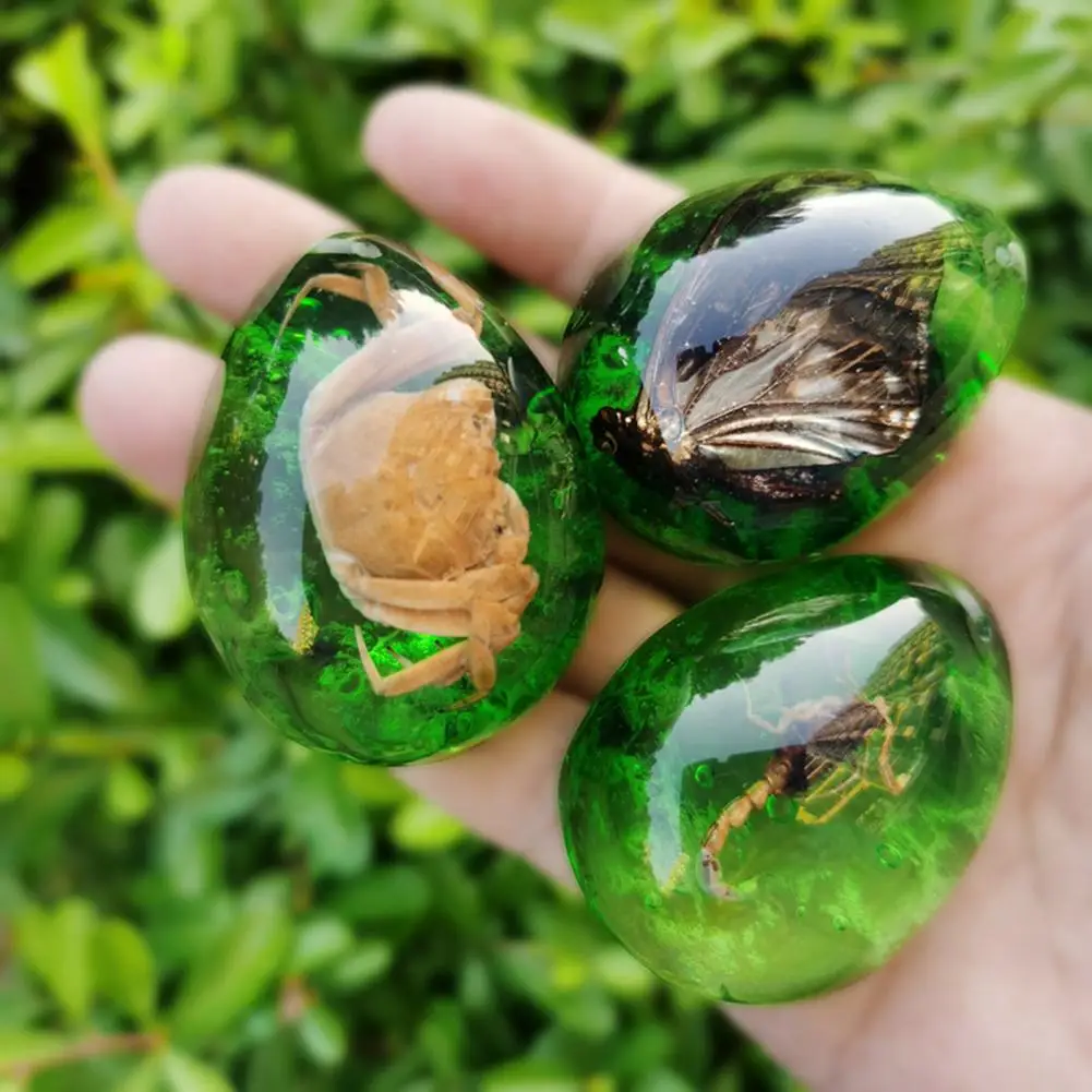 Natural-Amber-Pendant-Animal-Collection-Scorpion-Butterfly-Crab-Wasps ...