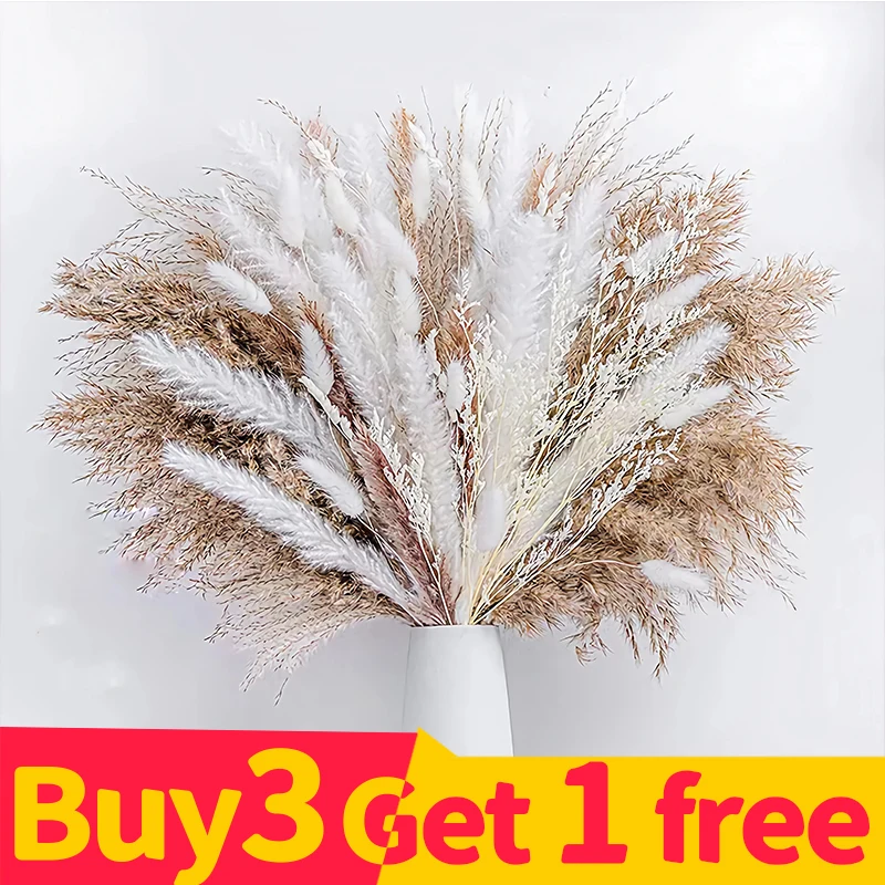300pcs-Real-Natural-Dried-Flower-Bouquet-Pampas-Reed-Small-Reed-Rabbit ...