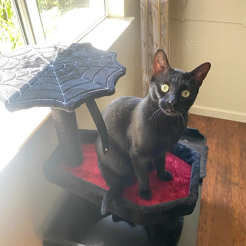Gothic-Cat-Tree-with-Coffin-Bed-Scratching-Posts-Jumping-Platform ...