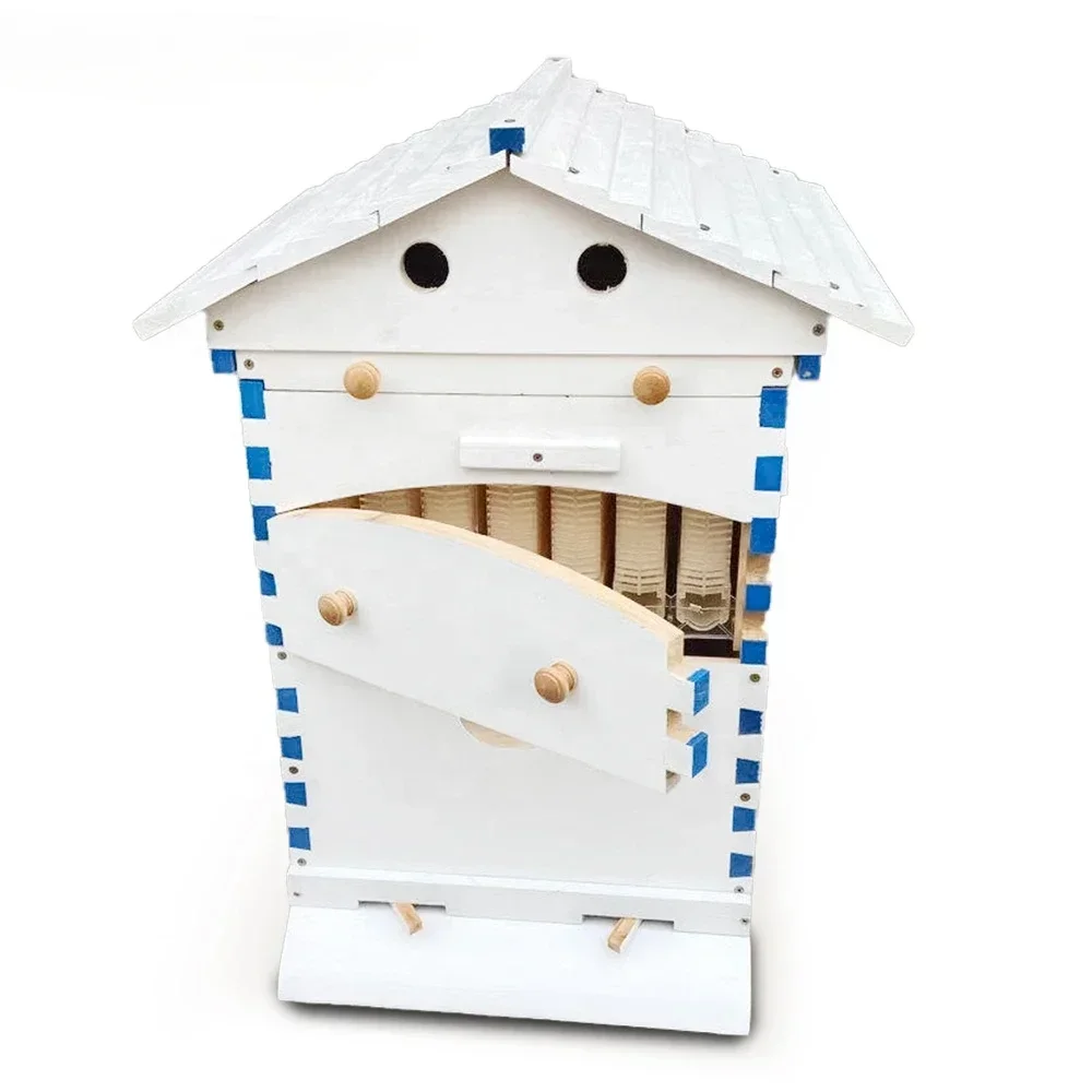 Colmena-autofluida-autom-tica-de-madera-pintada-china-7-marcos-autom ...