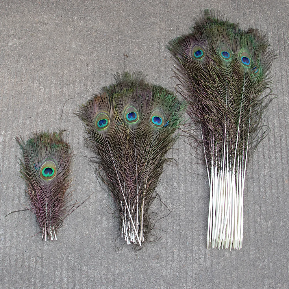 Plumas-naturales-de-pavo-real-de-ojos-grandes-para-boda-centro-de-mesa ...