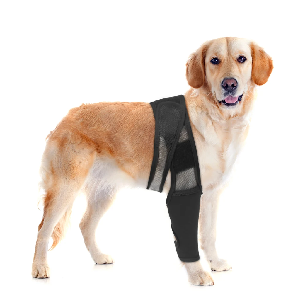 Pet-thigh-Injury-Brace-Fixed-Protective-Gear-Dog-Knee-Pad-Dog-Leg ...