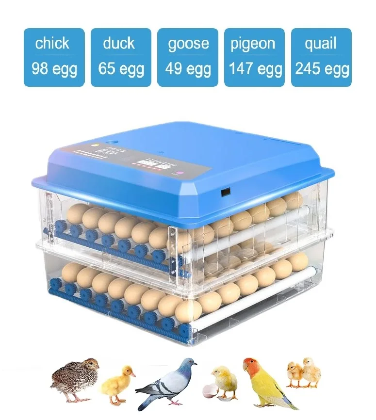 98-Eggs-Incubator-Mini-Egg-Incubator-With-Automatic-Water-Ionic ...