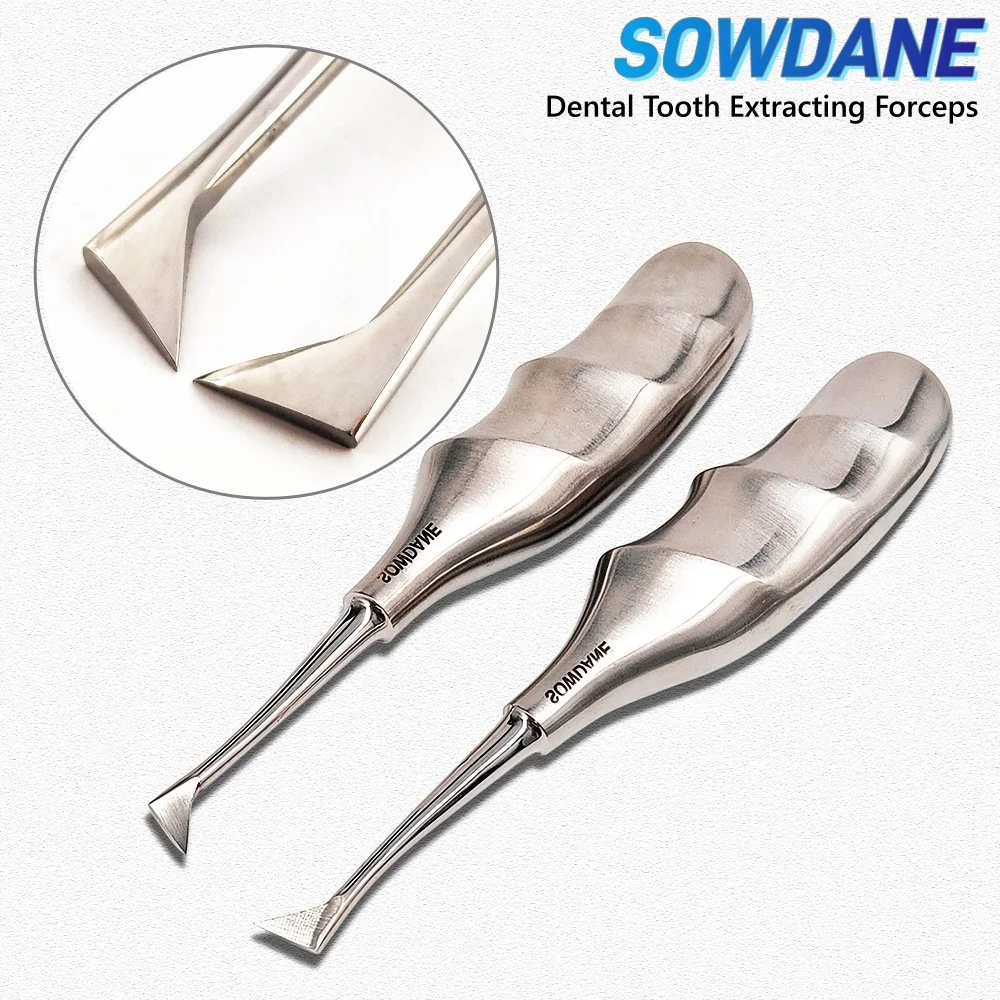 Dental Minimally Invasive Tooth Extracting Forceps Set Surgical Tool ...