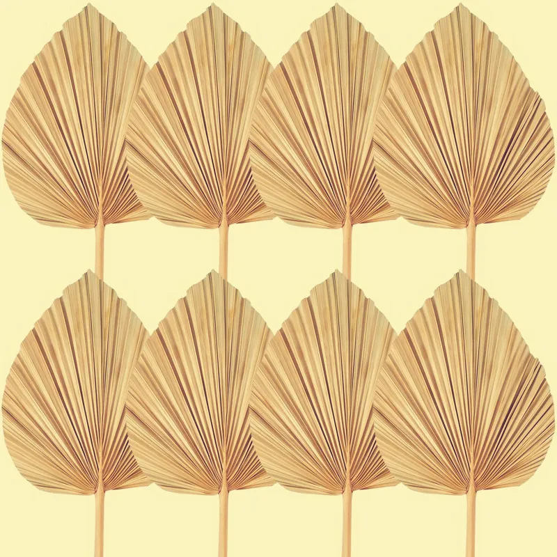 Decora-es-De-Folhas-De-Palmeira-Secas-Aparado-Seco-Palm-Spear-Fans ...
