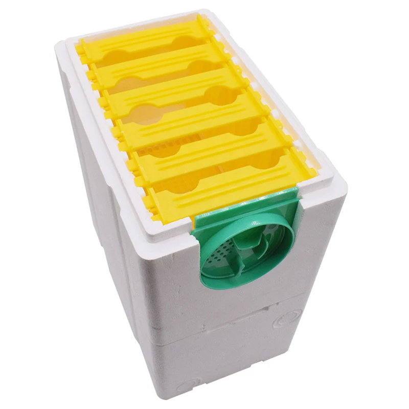 Beekeeping King Box Pollination Box | Sadoun.com