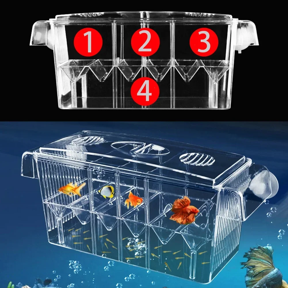 Aquarium-Isolation-Breeding-Box-Multifunctional-Peacock-Fish-Fry ...