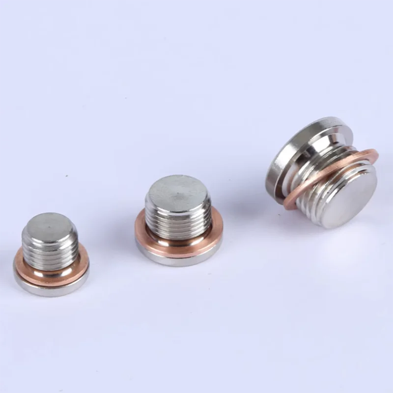 10-PCS-Z941-Cooling-Circuit-Die-Plugs-Mold-Accessories-Water-Stopper ...