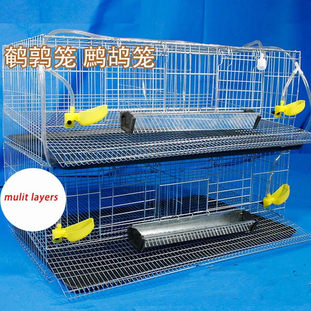 Quails Cage