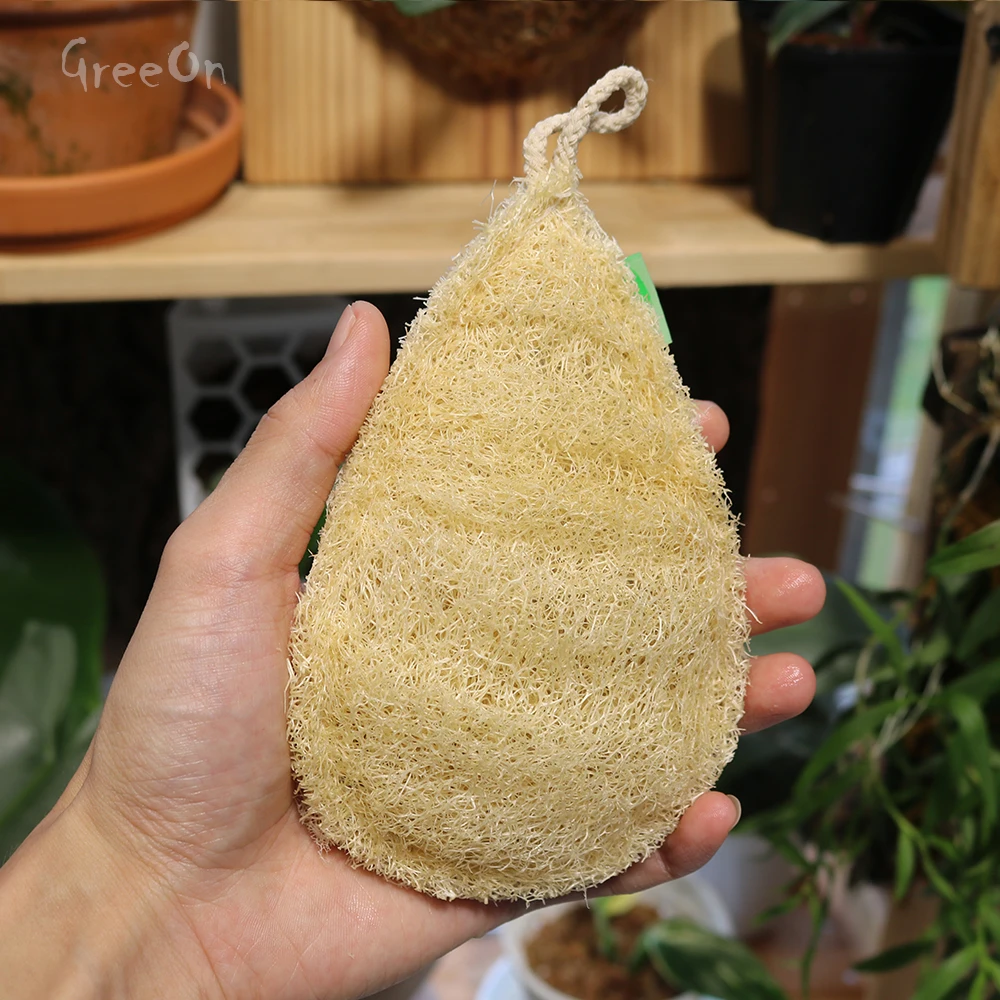 2Pcs-Nuatural-Loofah-Sponge-Kitchen-Cleaning-Sponge-Magic-Luffa ...