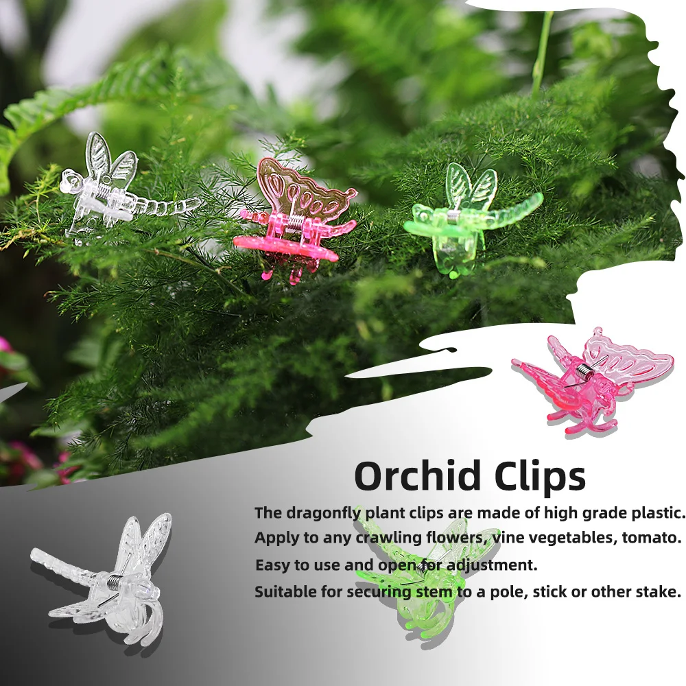 3 Kinds of Orchid Clip Plastic Garden Plant Dragonfly Butterfly Clamps ...