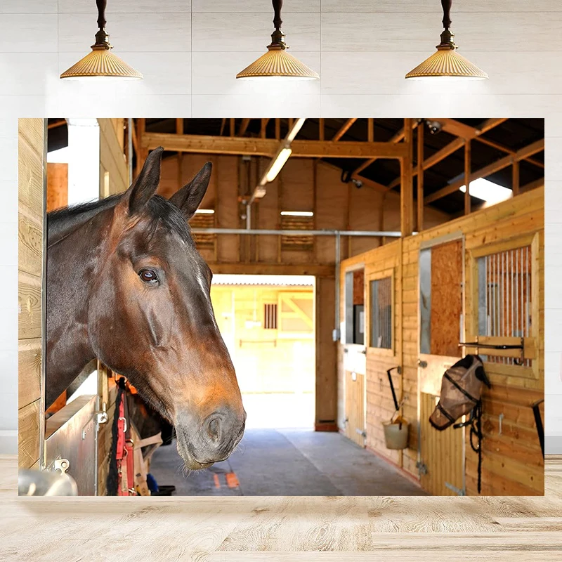 Western Ranch Backdrop