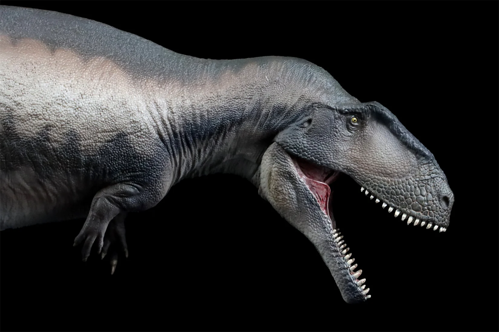 Carcharodontosaurus Vs Mapusaurus