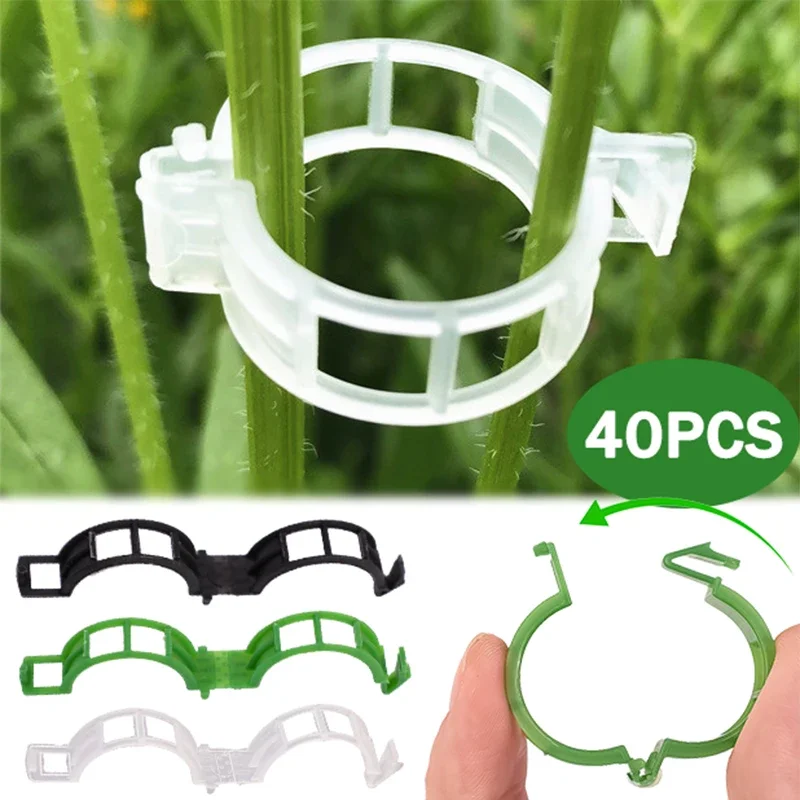 Plant-Climbing-Wall-Clips-Support-Buckle-Hook-Rattan-Clamp-Grafting ...
