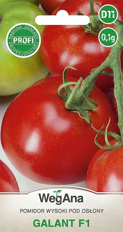 Galant F1 tall tomato 0.1g seeds-VegAna - AliExpress 15