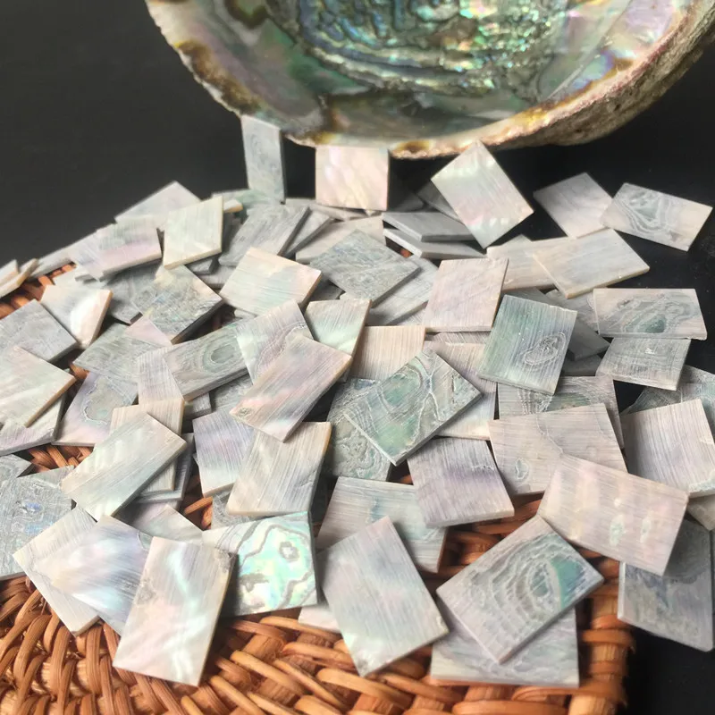 Natural-Abalone-Shell-Slice-DIY-Acess-rios-de-Instrumentos-Musicais-J ...