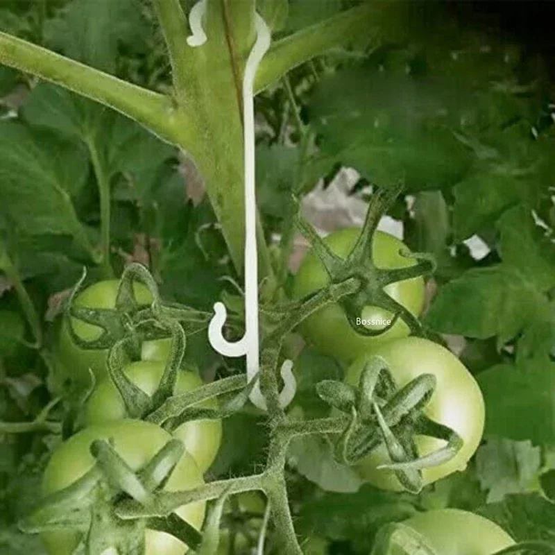 13-16CM-Tomato-Support-J-Hooks-Plant-Support-Vegetable-Clips-To-Prevent ...