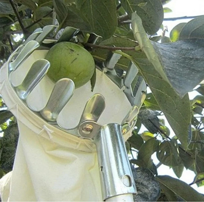 Metal-Fruit-picker-Convenient-Horticultural-Fruit-Picker-Gardening ...