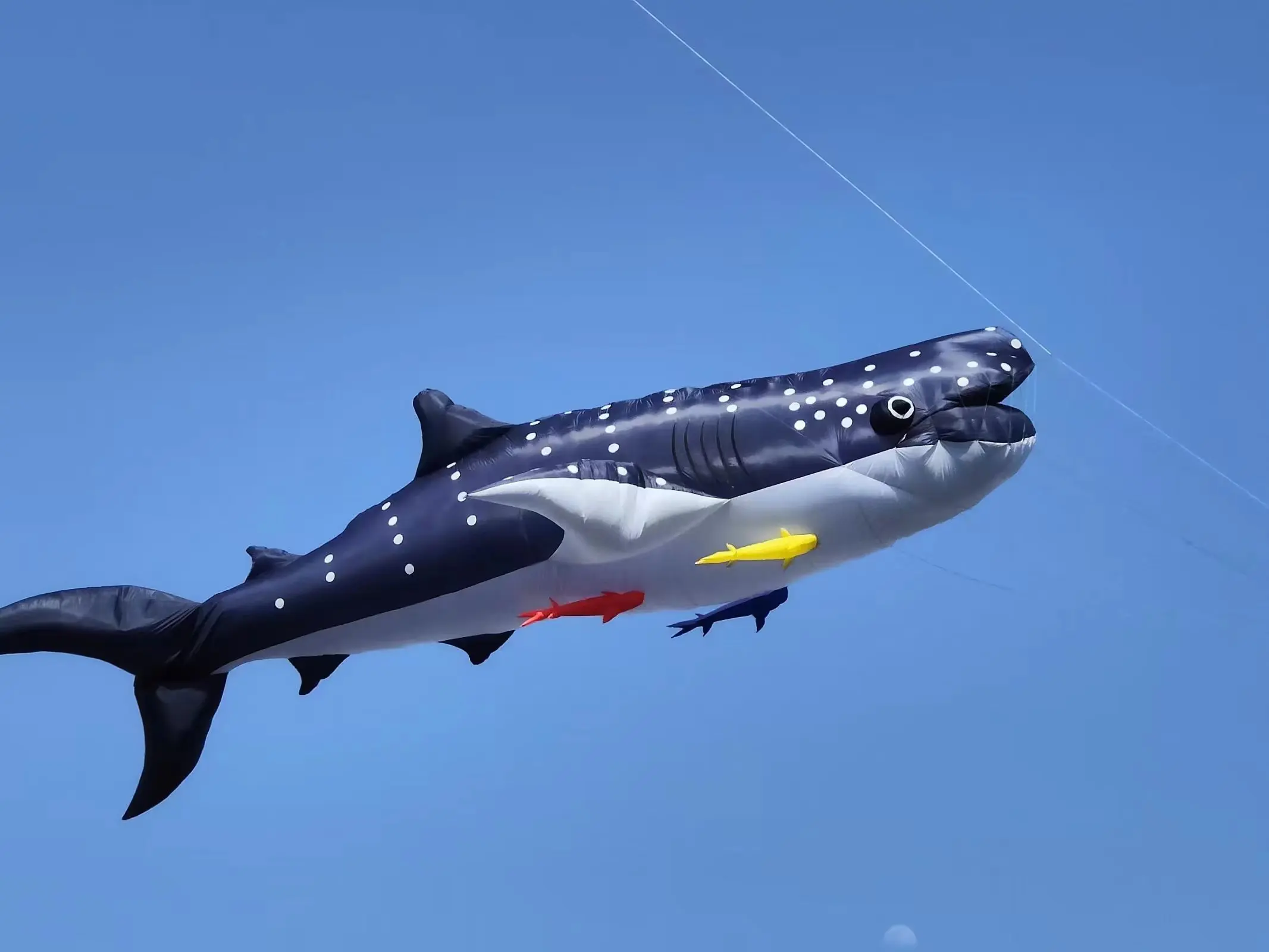 whale-shark-kite-multi-color-fabric-splicing-skate-pendant-kite-kites ...
