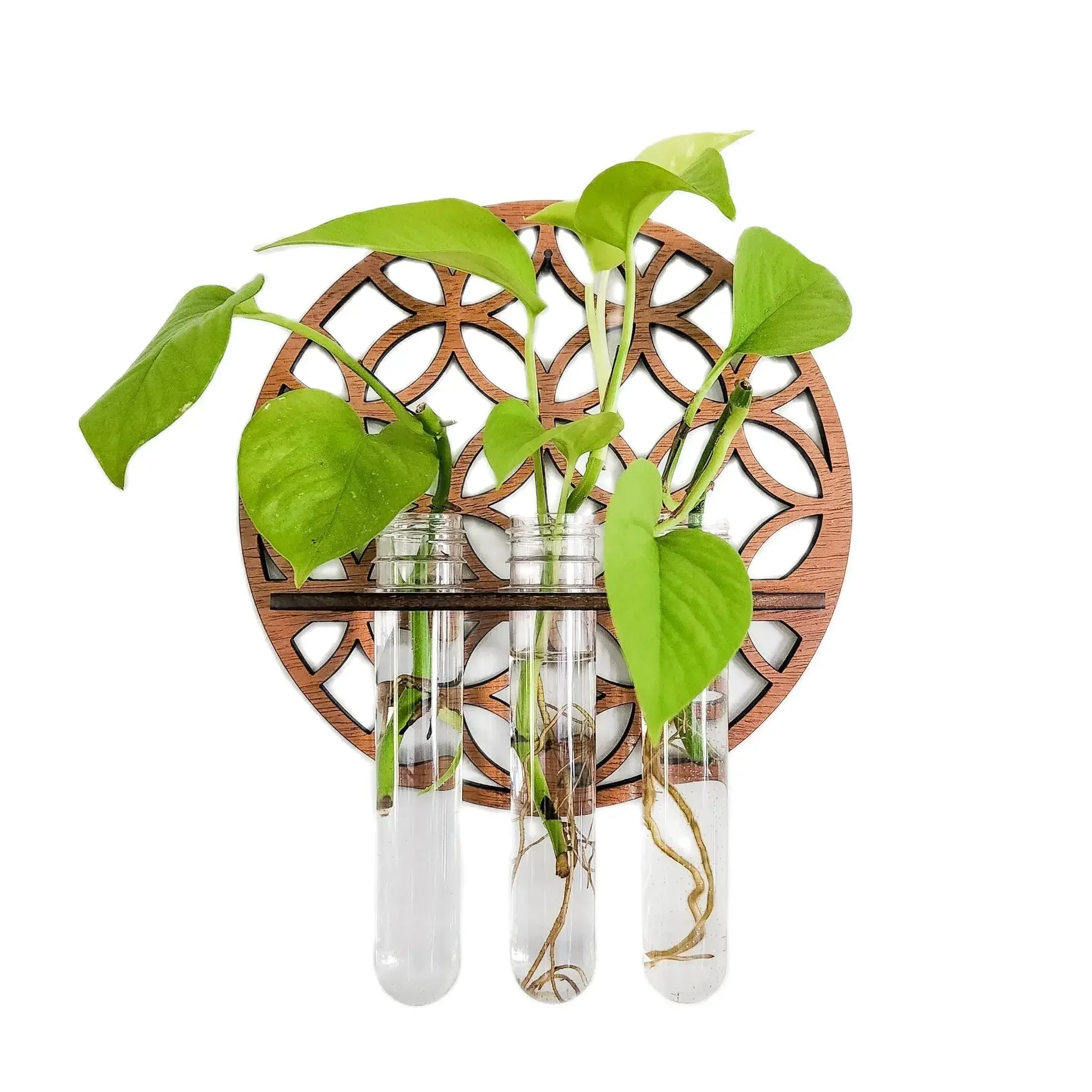 Wall Planters for Indoor Plants with 3 Plastic Test Tubes Plant ...