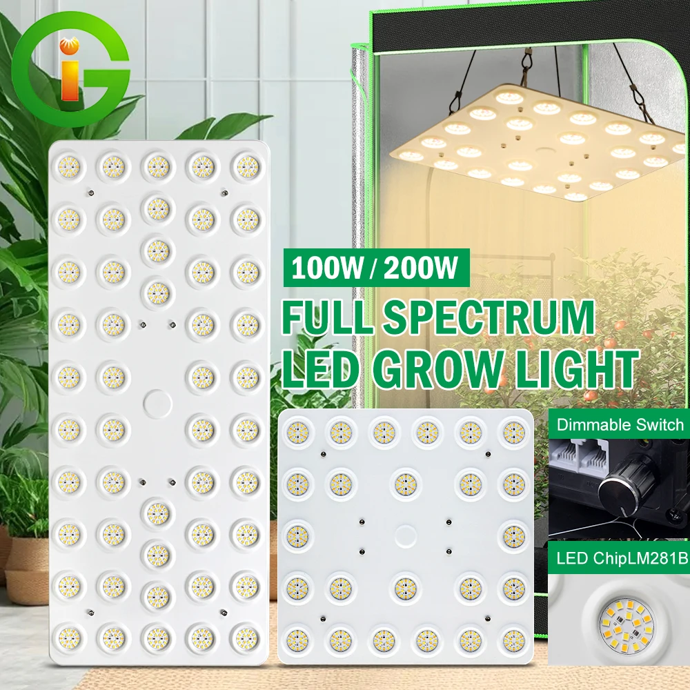 100W 200W Quantum Grow Lights LED Growth Lamp Full Spectrum Phytolamp ...