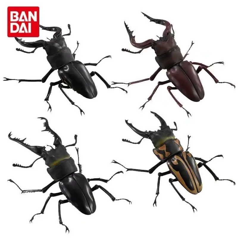 Giant Tailed Stag Beetle