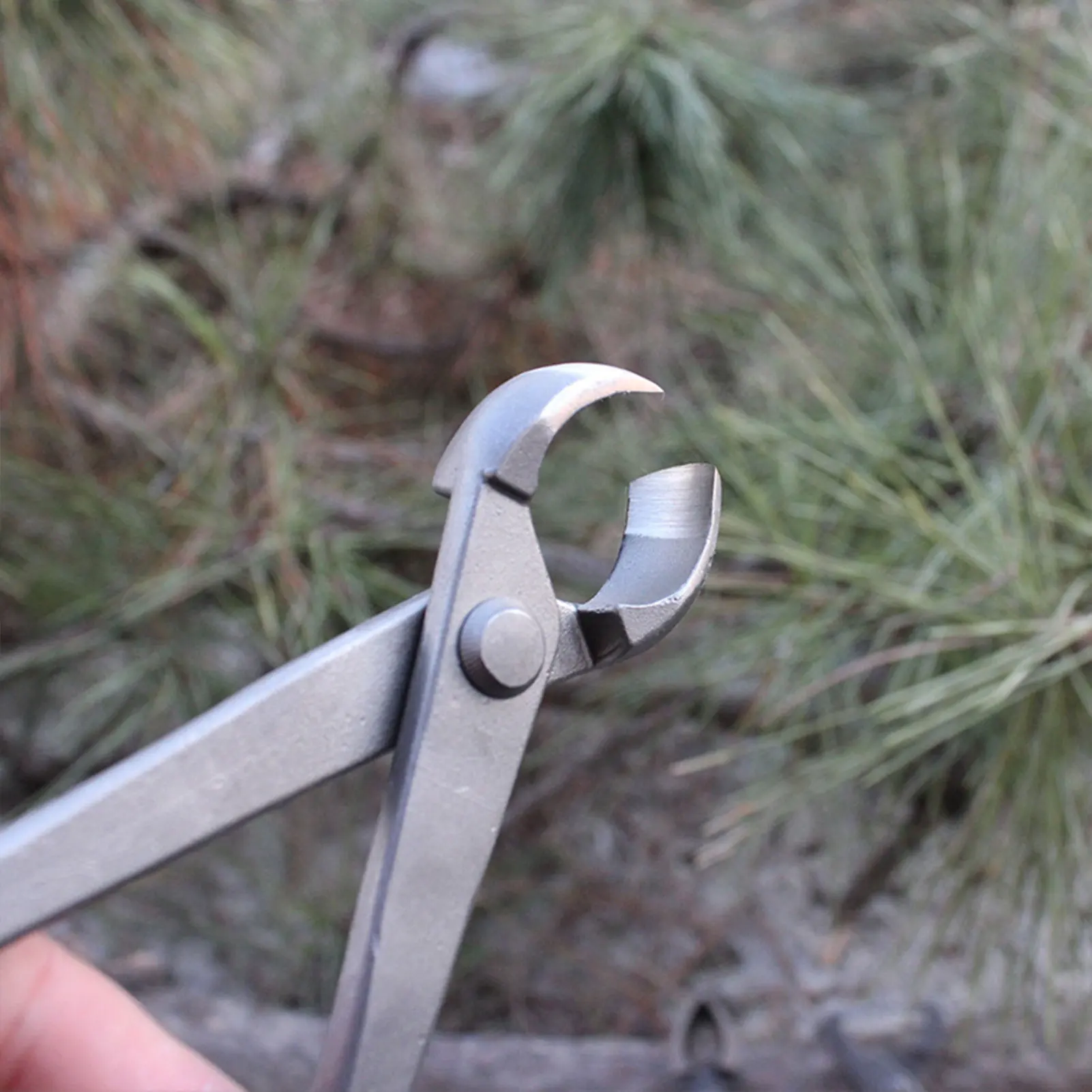U50-Bonsai-Knob-Cutter-Concave-Edge-Cutter-Root-Cutting-Pliers-Ball ...