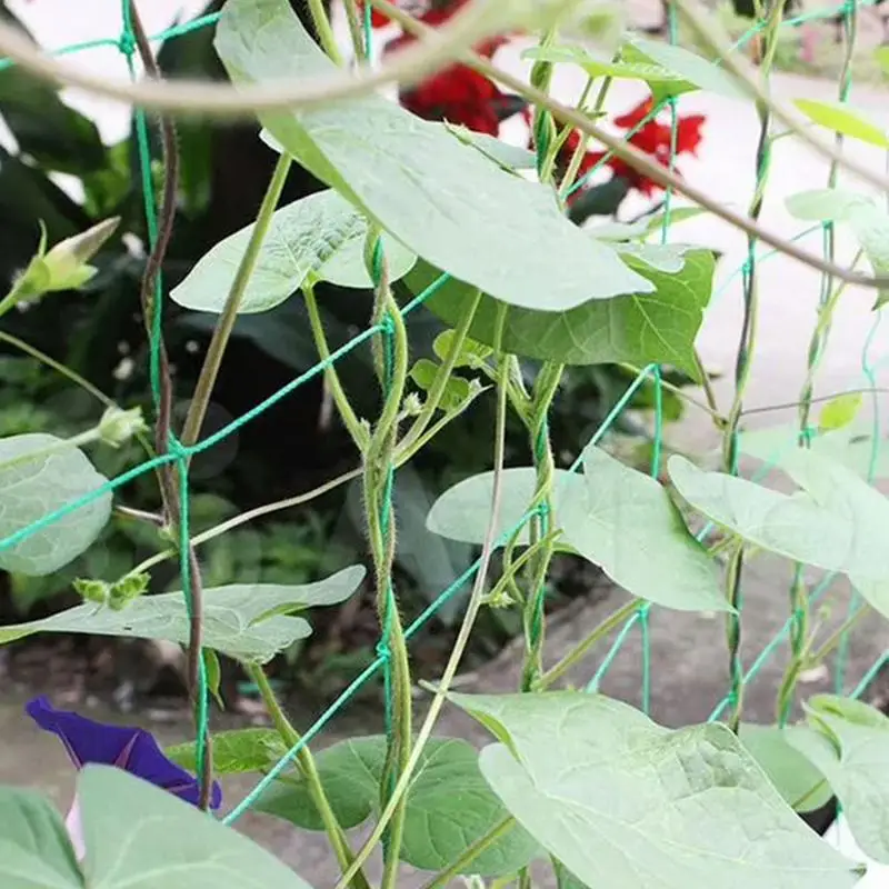 9-Strands-Plant-Climbing-Netting-For-Cucumbers-Vines-Fruits-Vegetables ...