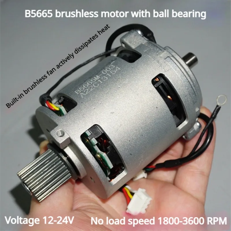B5665-dahili-rotor-f-r-as-z-motor-12-24V-d-k-h-z-y-ksek.jpg