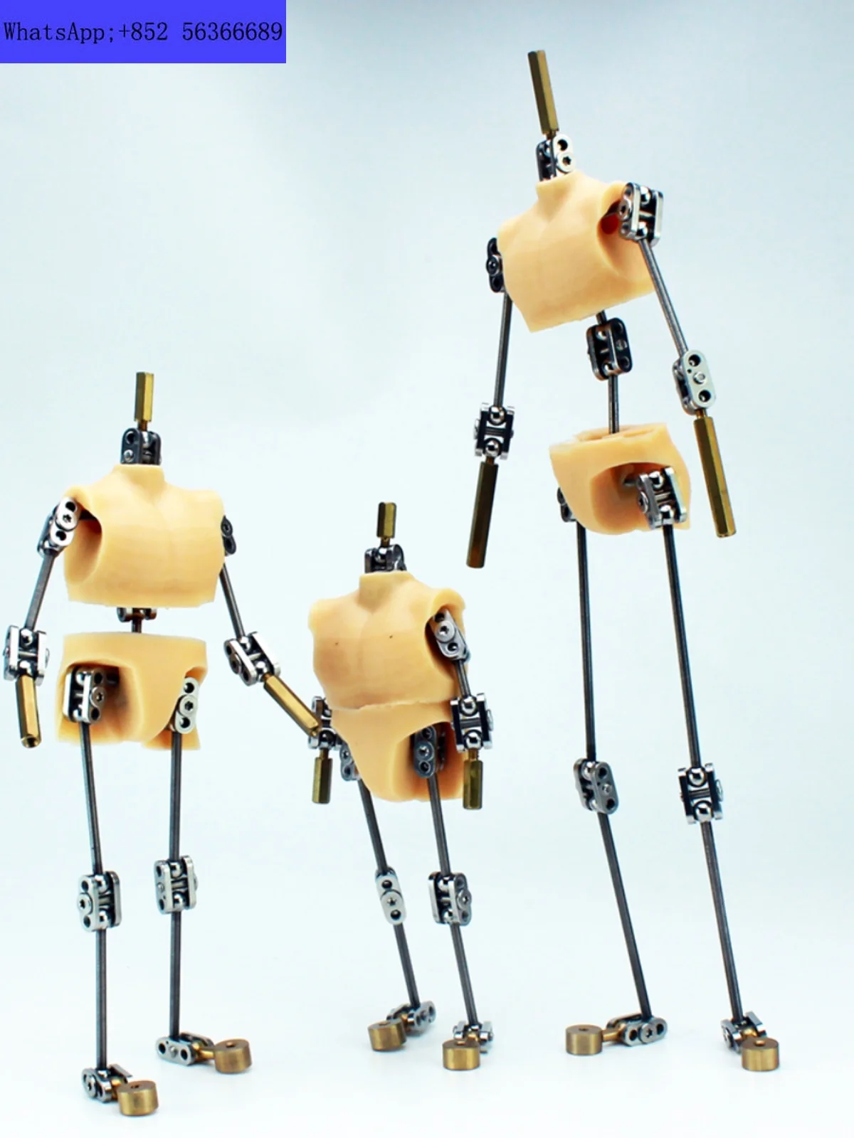Standard-version-stop-motion-animation-skeleton-metal-skeleton-of ...