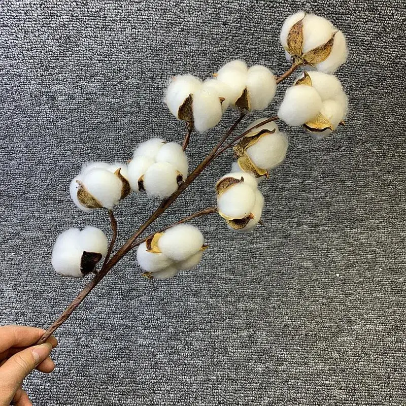 Artificial Dried Cotton Flowers White Flower Branch For Wedding Party ...