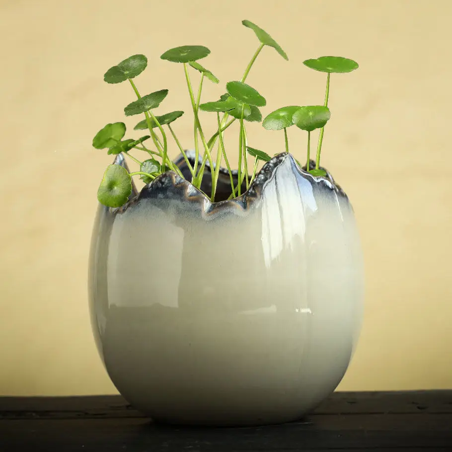 Hydroponic flowerpot, ceramic, non porous, hydroponic plant, pineapple ...