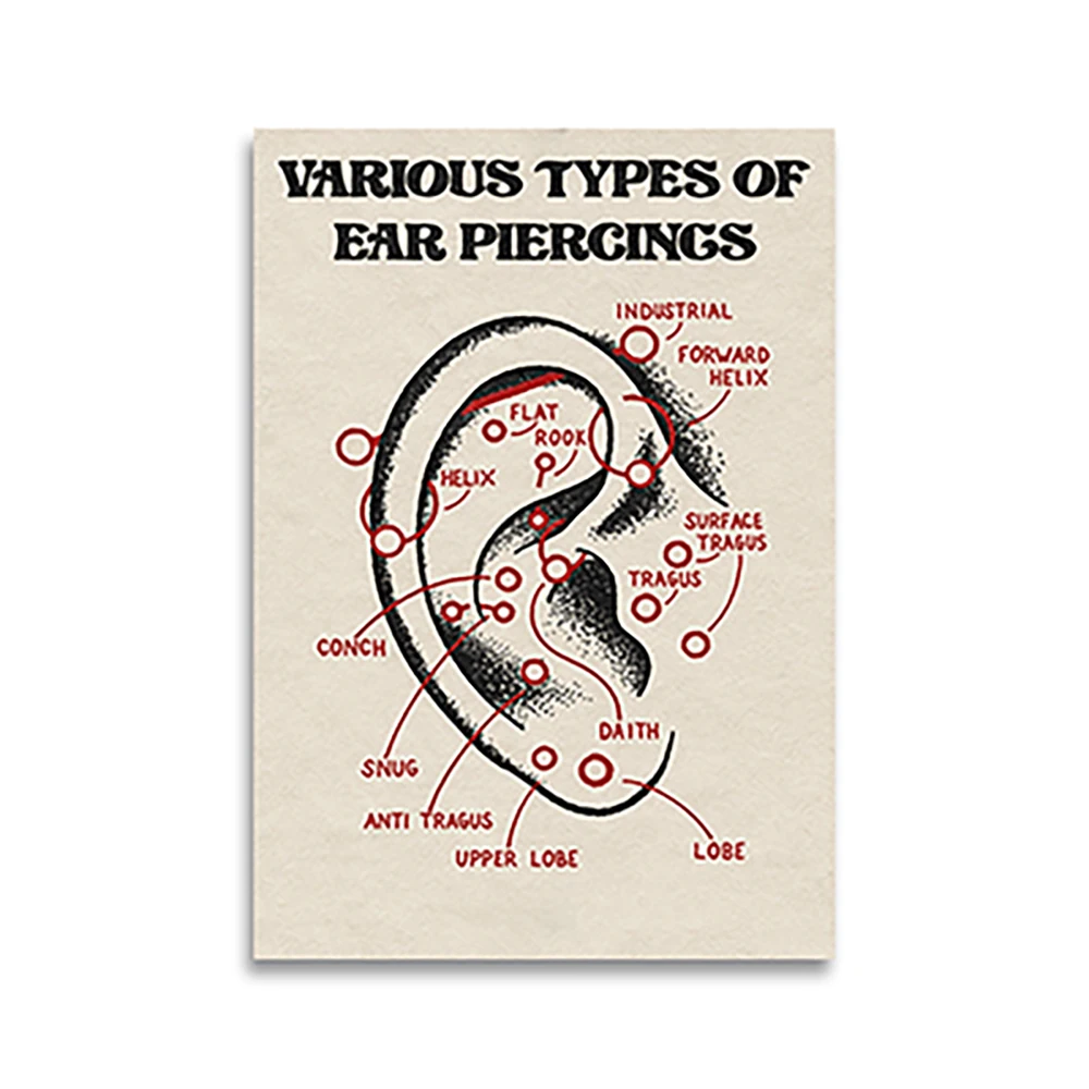 Ear Piercings Diagram
