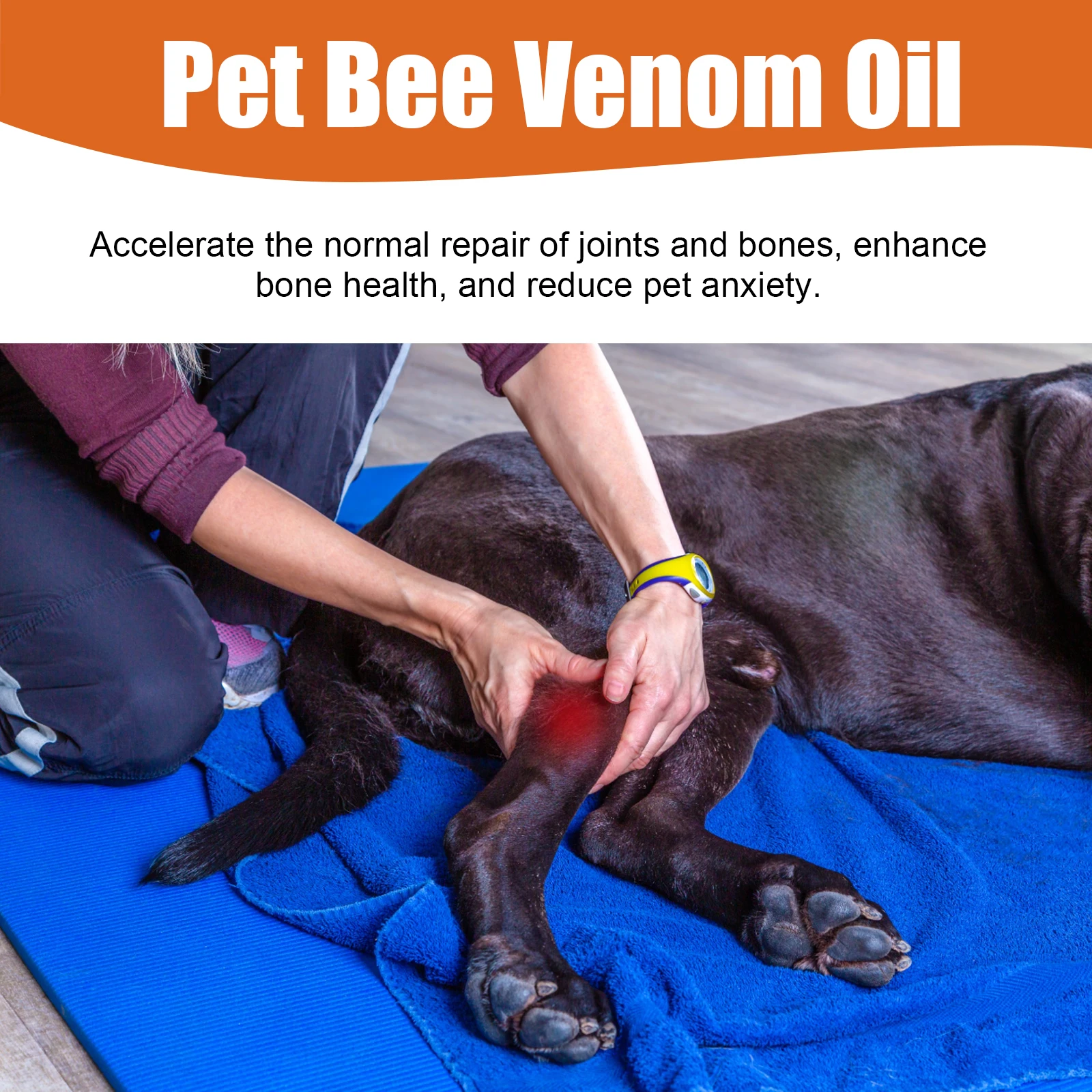 YEGBONG Pet Bee Venom Water Saving Cats Dogs To Relieve Leg Joint And ...