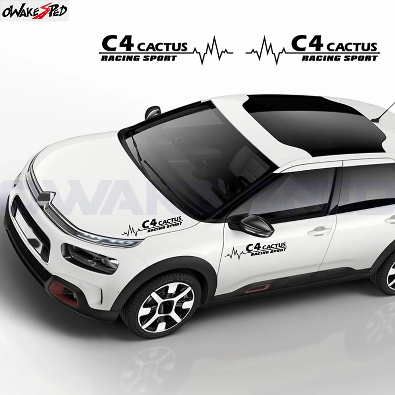 2PCS-Car-Body-Door-Side-Window-Hood-Decor-Sticker-For-Citroen-C4-Cactus ...