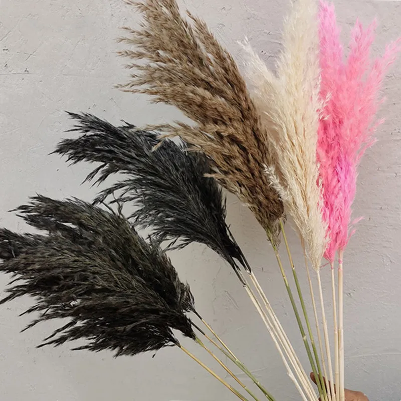 Dye Natural Flowers Black Reed Grass For Living Room, Shop, Meeting ...