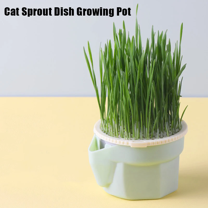 1Pc-Pet-Cat-Sprout-Dish-Growing-Pot-Hydroponic-Plant-Cat-Grass ...