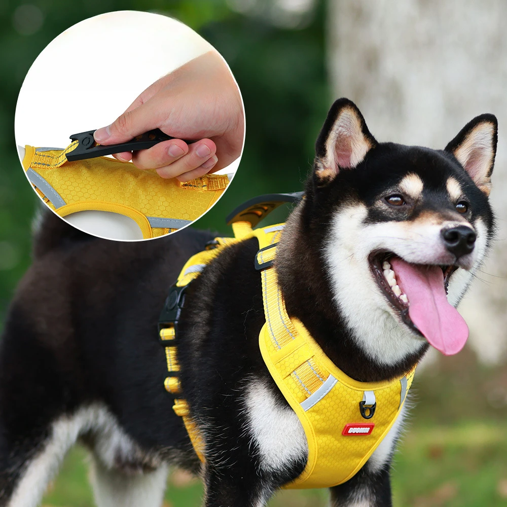 Enhanced-Safety-and-Comfort-Pet-Chest-Harness-with-Explosion-Proof ...